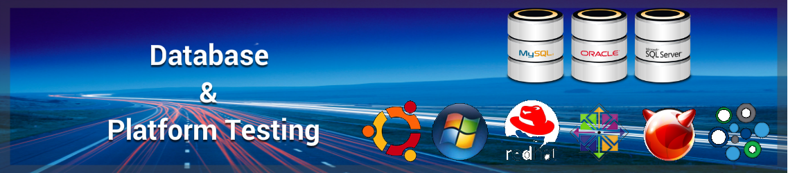 Platform & Database Testing - GlobalSQA